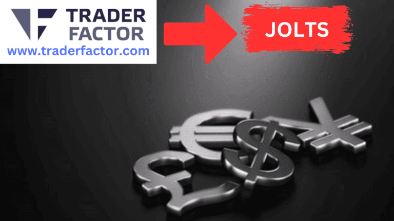 Unveiling Forex Facts: A Beginner’s Guide - TraderFactor
