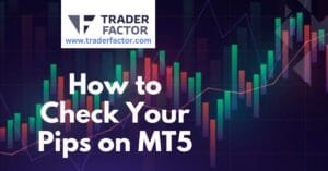How to Check Your Pips on MT5
