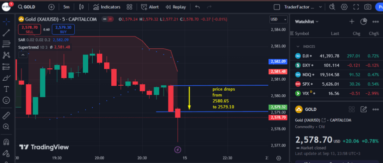 PIP Value of Xauusd